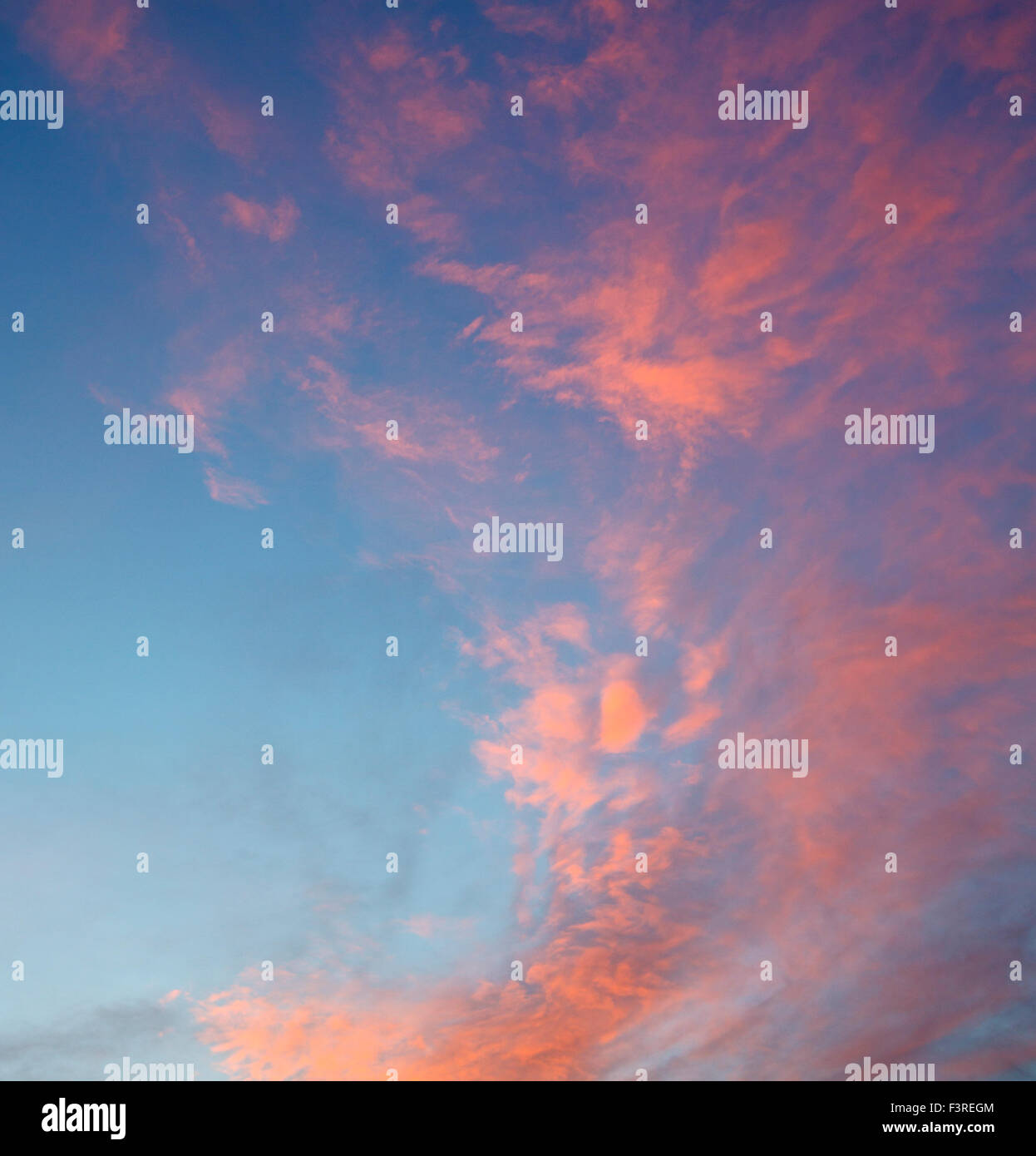 sunrise in the colored sky white soft clouds and abstract background ...