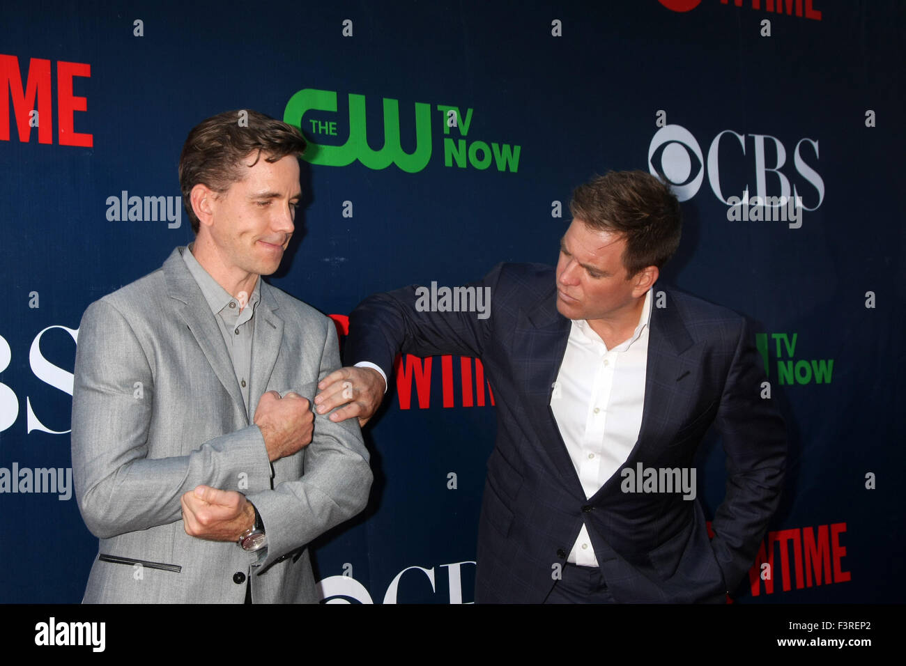 CBS TCA Summer 2015 Party Featuring: Brian Dietzen, Michael Weatherly ...