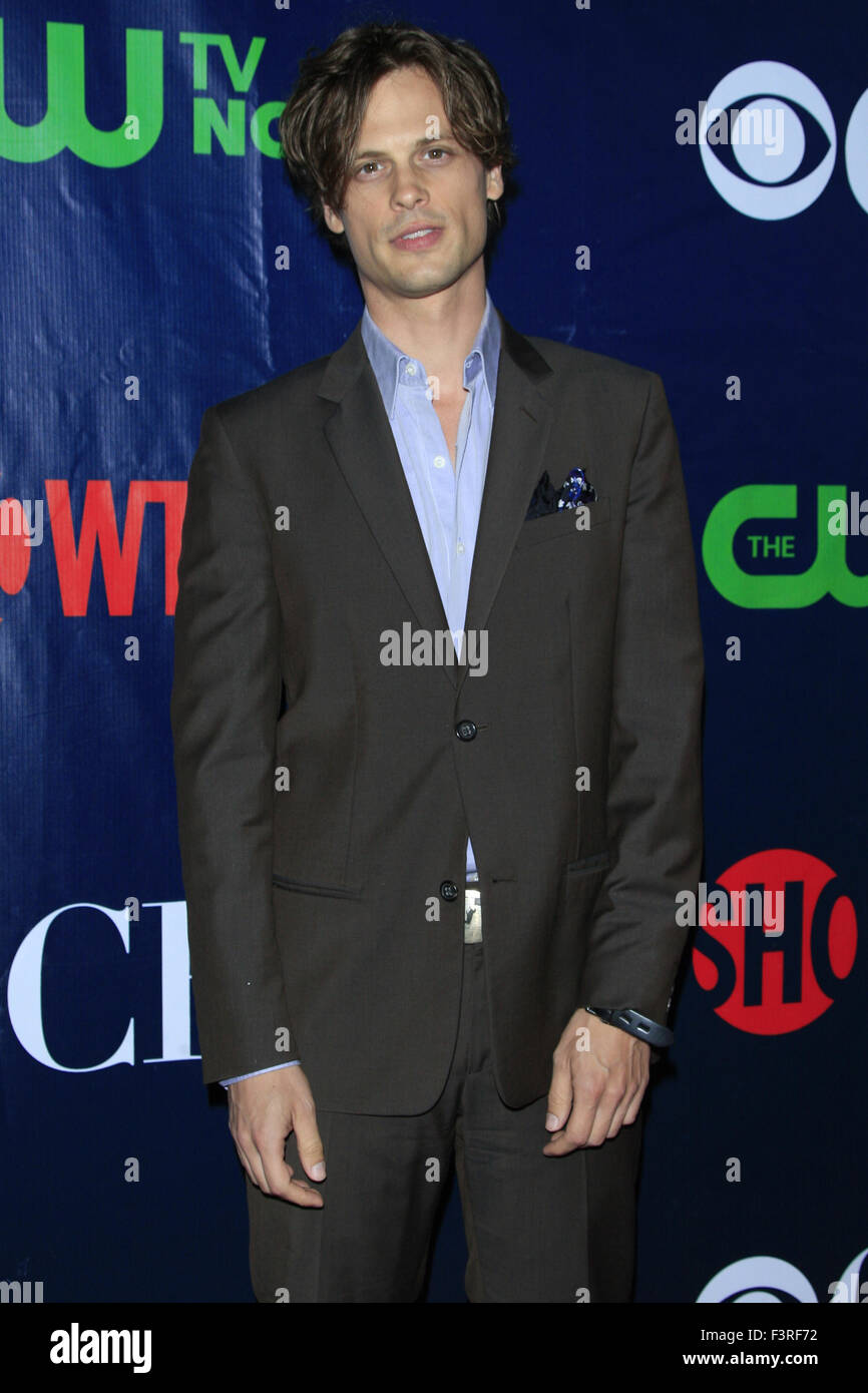 CBS TCA Summer 2015 Party Featuring: Matthew Gray Gubler Where: West ...