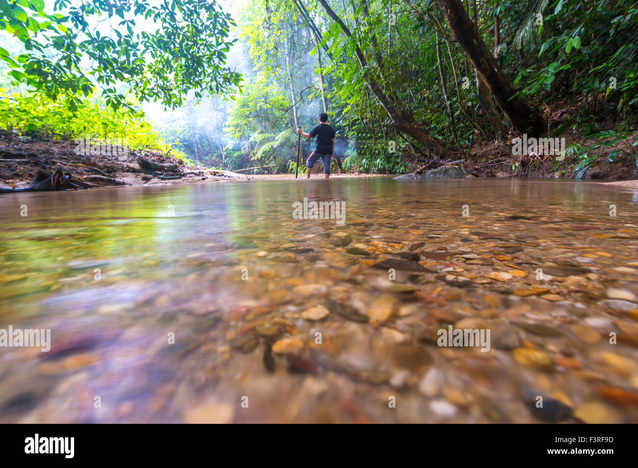 Water stream at tropical forest Stock Photo - Alamy