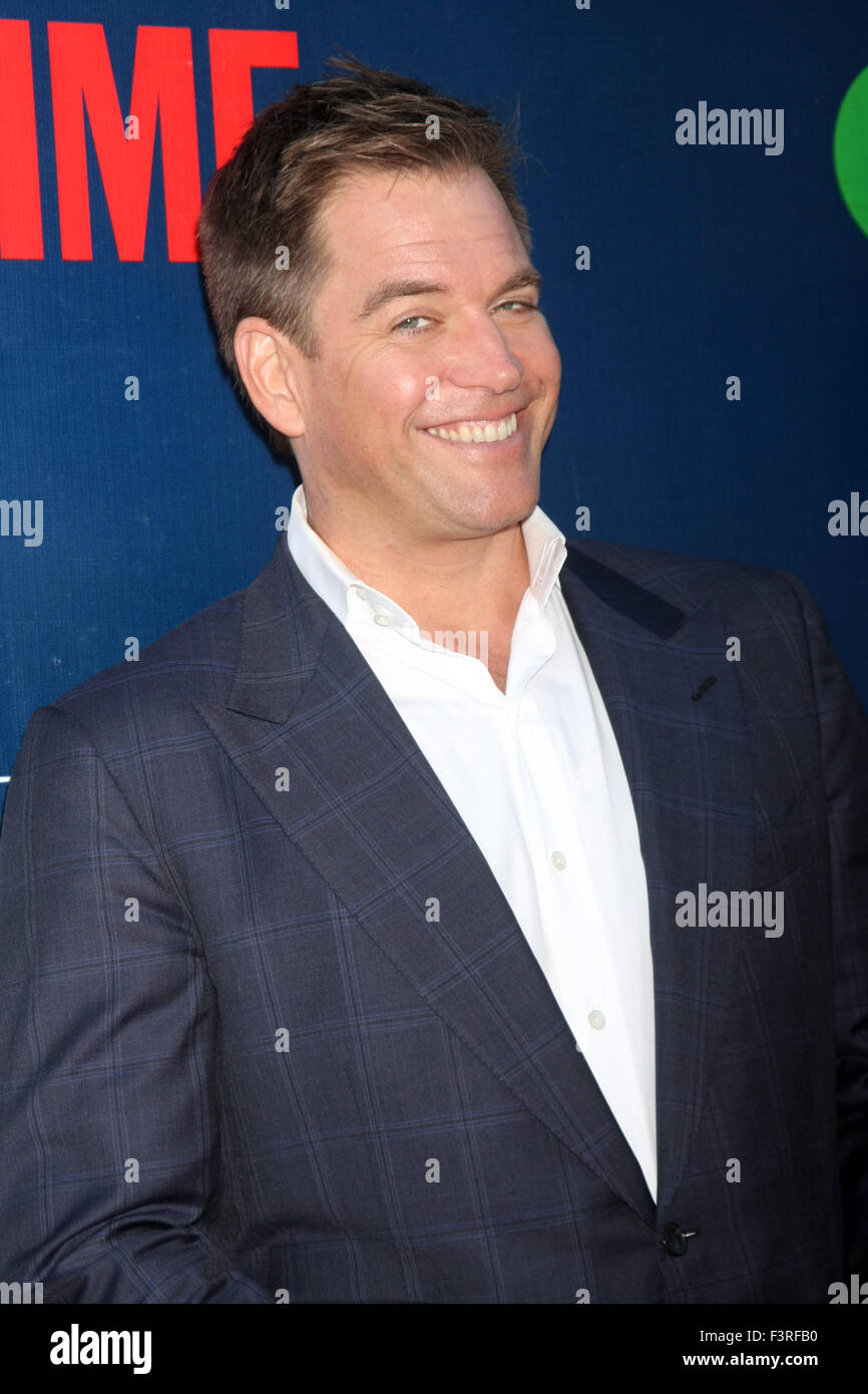 CBS TCA Summer 2015 Party Featuring: Michael Weatherly Where: West ...