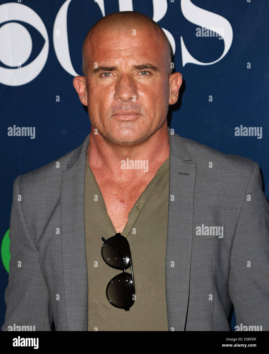 Celebrities attend the CBS, The CW, and Showtime 2015 Summer TCA Party ...