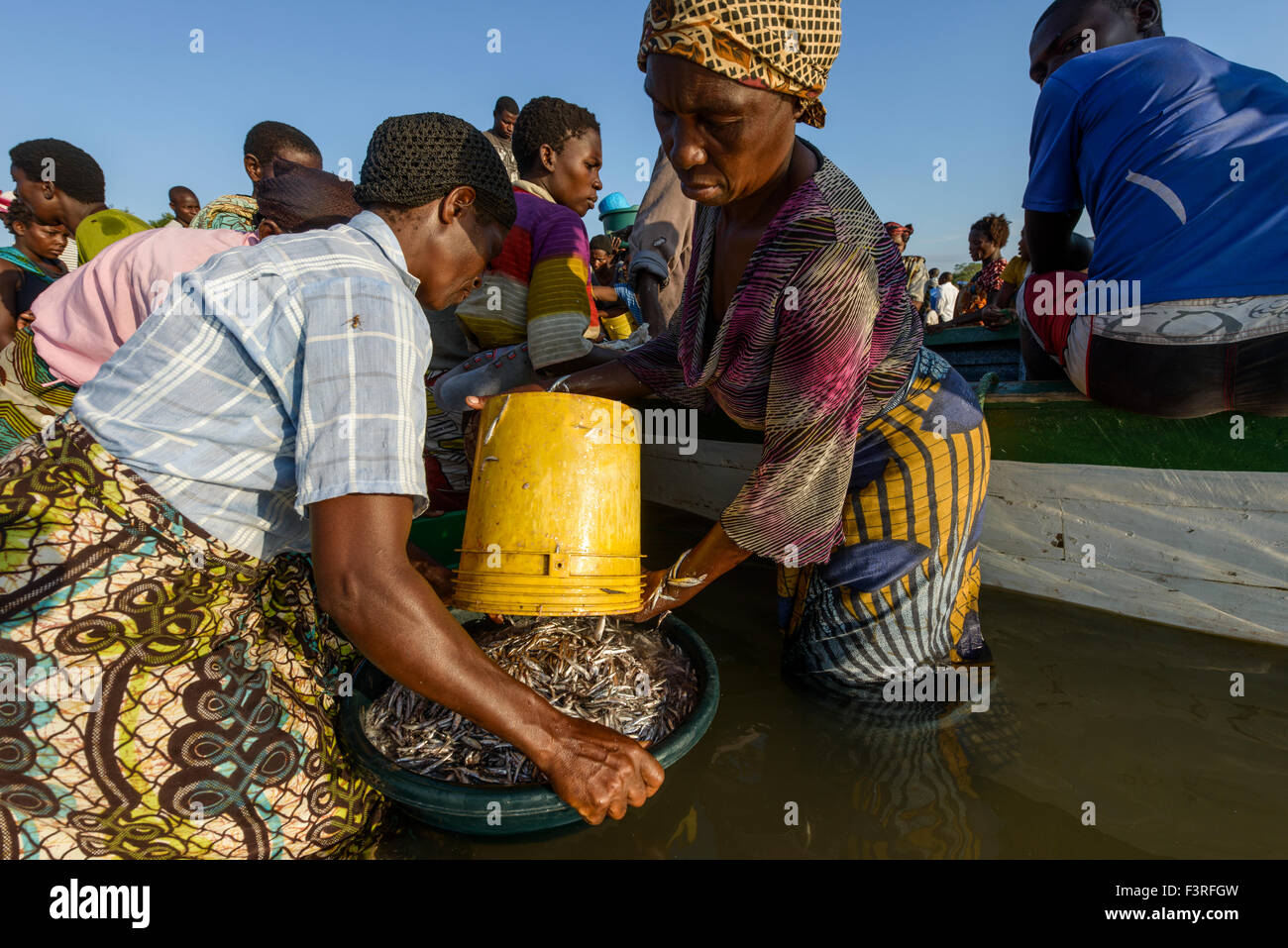 Open-air fish market at the Lake Malawi, Malawi, Africa Stock Photo - Alamy