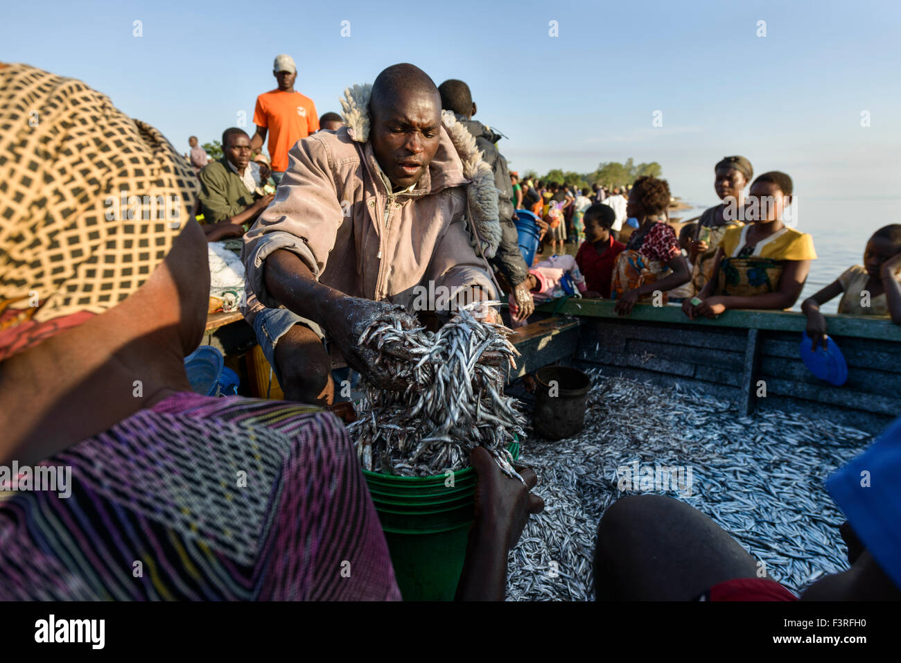 Open-air fish market at the Lake Malawi, Malawi, Africa Stock Photo - Alamy