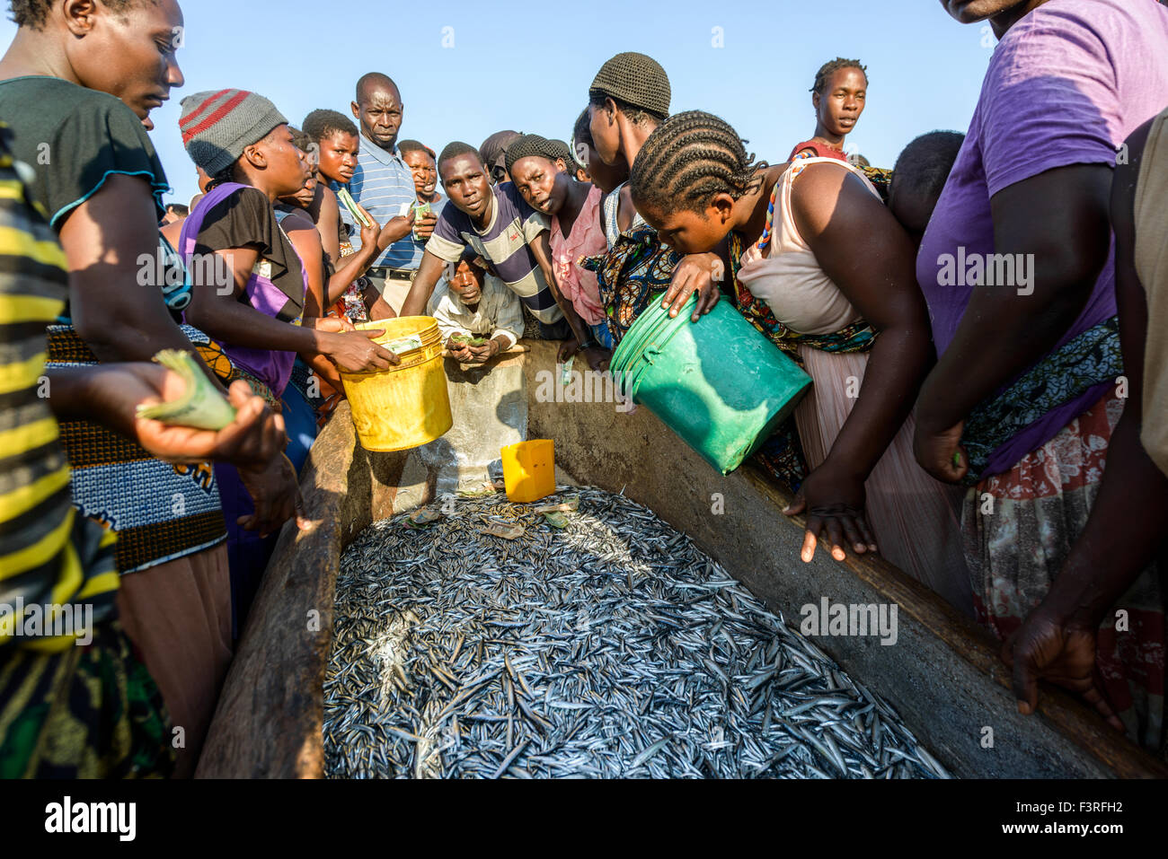 Open-air fish market at the Lake Malawi, Malawi, Africa Stock Photo - Alamy