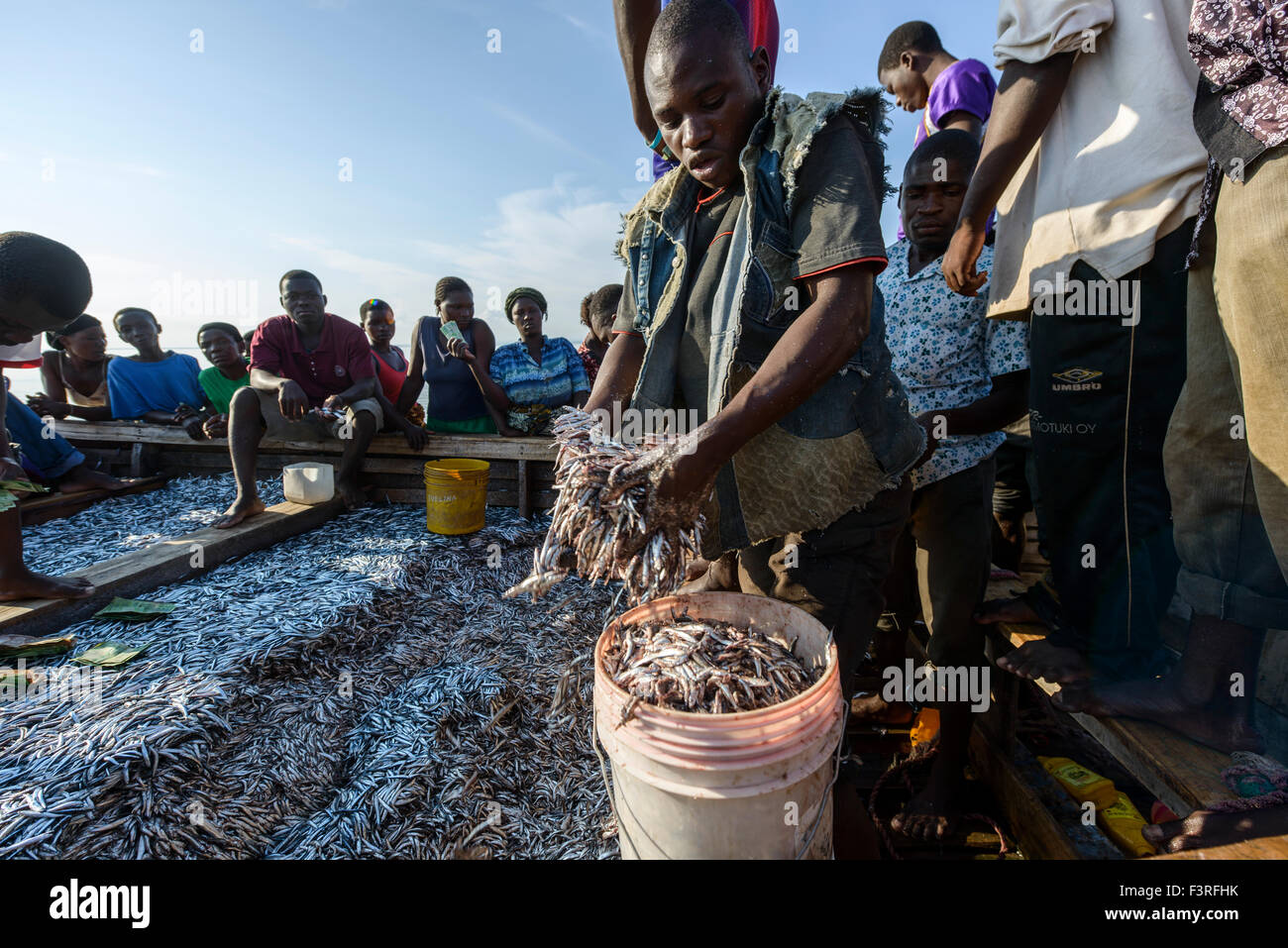 Open-air fish market at the Lake Malawi, Malawi, Africa Stock Photo - Alamy