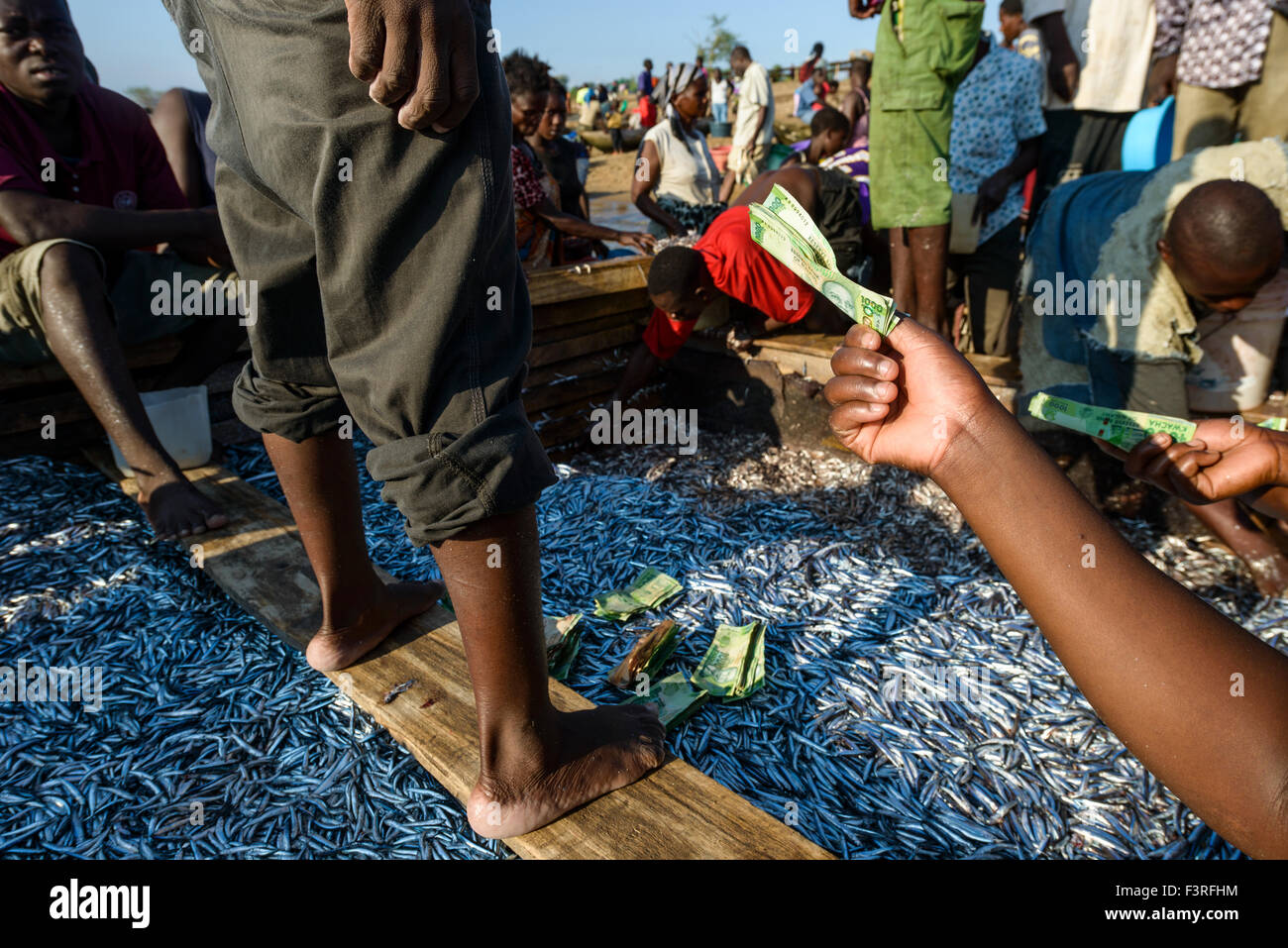 Open air fish market lake malawi hi-res stock photography and images ...