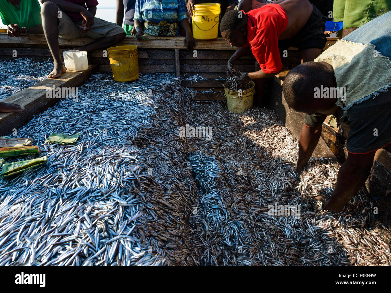 Open-air fish market at the Lake Malawi, Malawi, Africa Stock Photo - Alamy