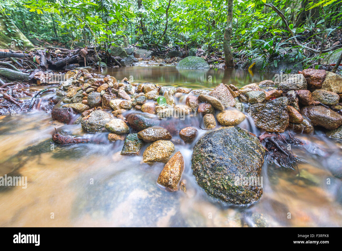 Water stream at tropical forest Stock Photo - Alamy