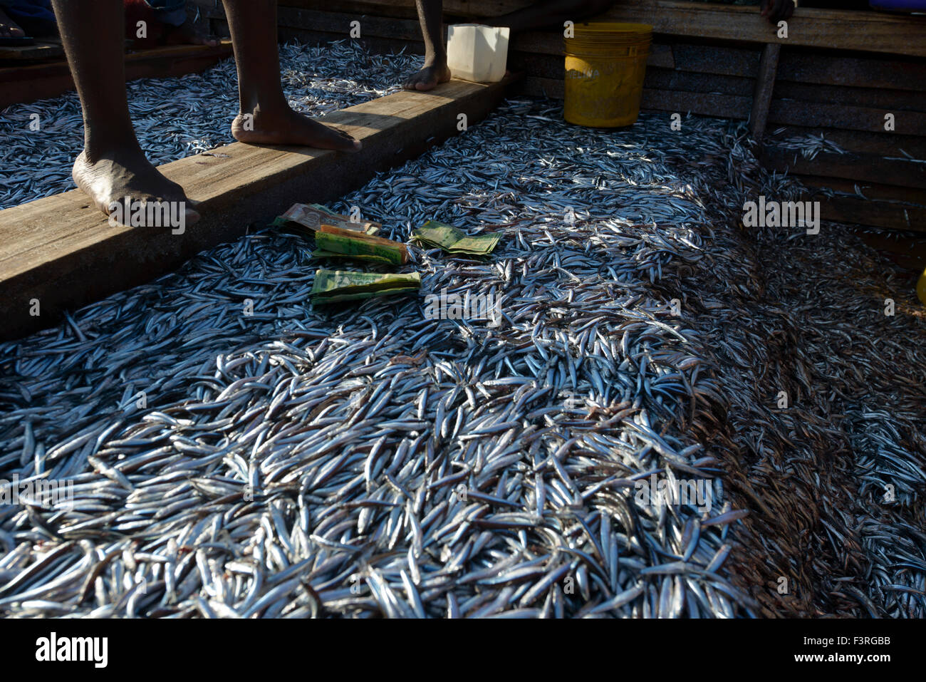 Open-air fish market at the Lake Malawi, Malawi, Africa Stock Photo - Alamy