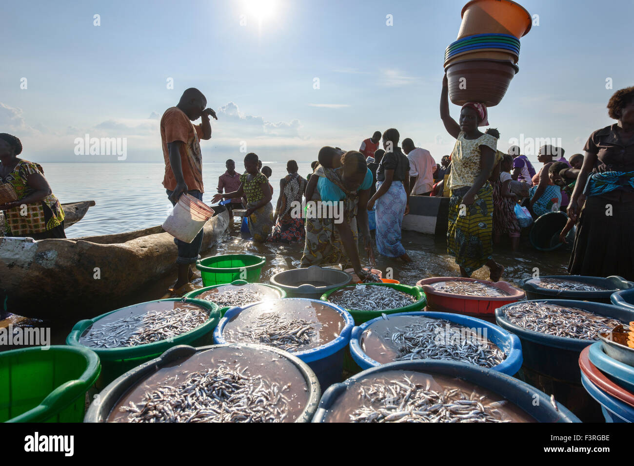 Open-air fish market at the Lake Malawi, Malawi, Africa Stock Photo - Alamy