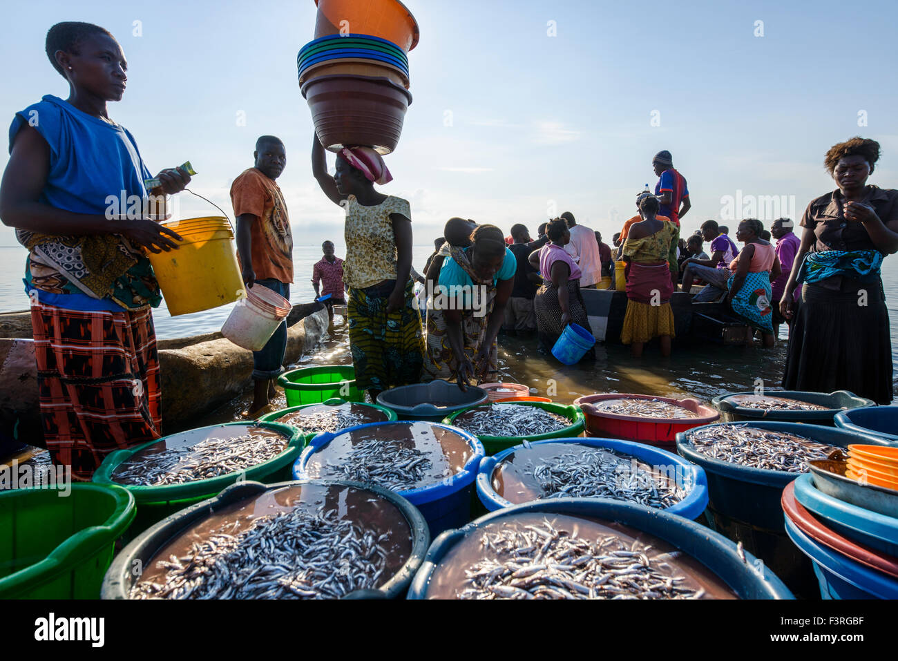 Open-air fish market at the Lake Malawi, Malawi, Africa Stock Photo - Alamy