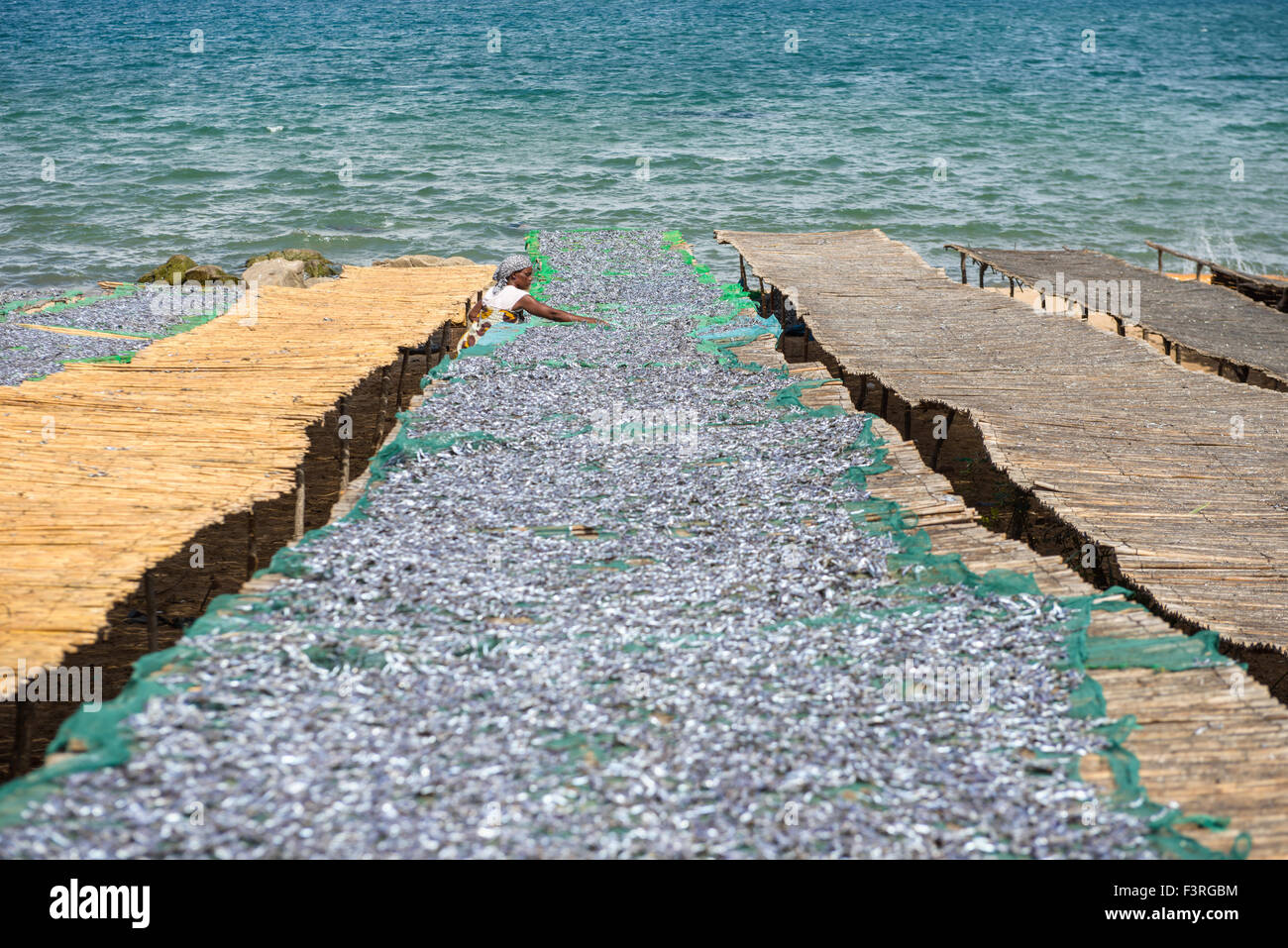 Open-air fish market at the Lake Malawi, Malawi, Africa Stock Photo - Alamy