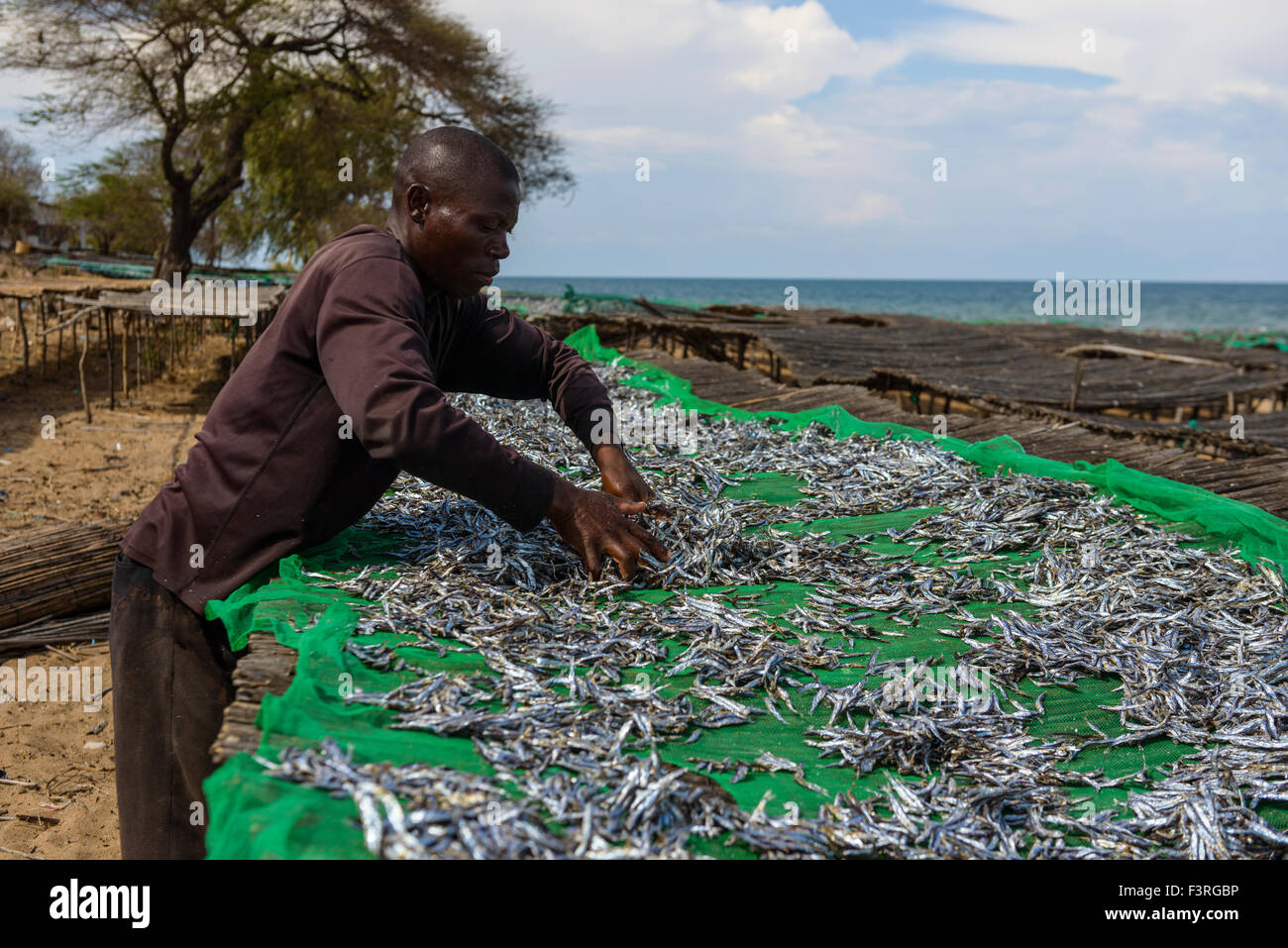 Open air fish market lake malawi hi-res stock photography and images ...