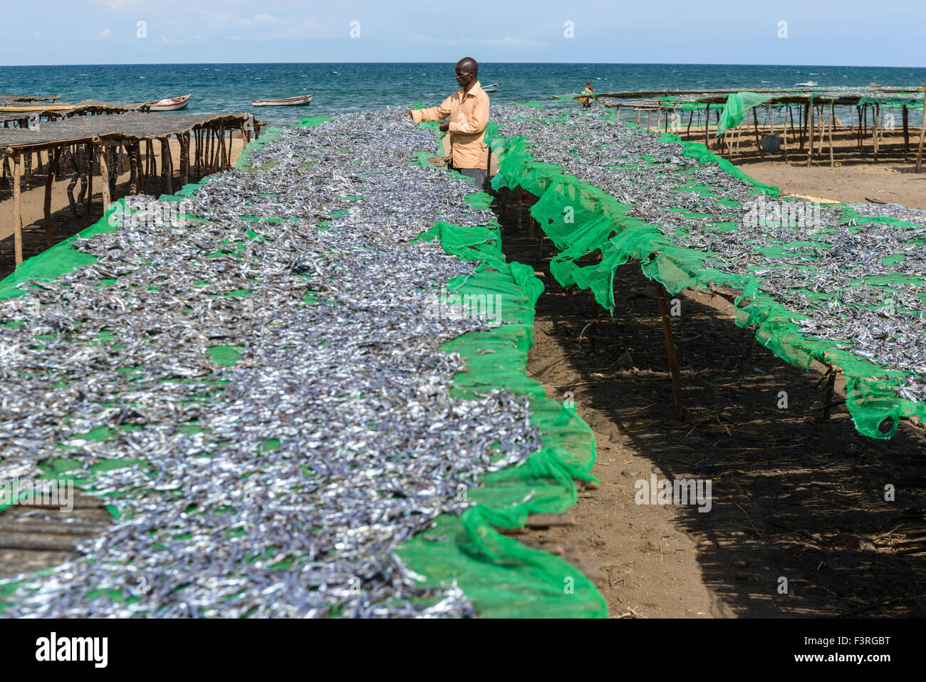 Open-air fish market at the Lake Malawi, Malawi, Africa Stock Photo - Alamy