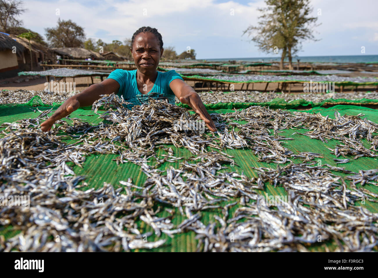 Open-air fish market at the Lake Malawi, Malawi, Africa Stock Photo - Alamy