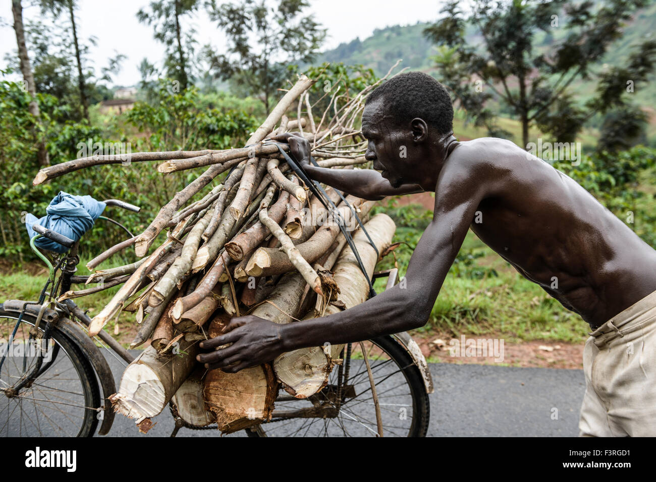 Man pushing bicycle with firewood, Burundi, Africa Stock Photo - Alamy