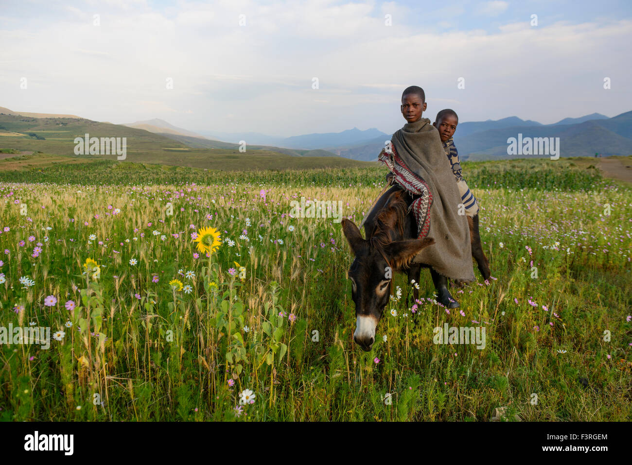 Basotho boys, Lesotho, Africa Stock Photo - Alamy
