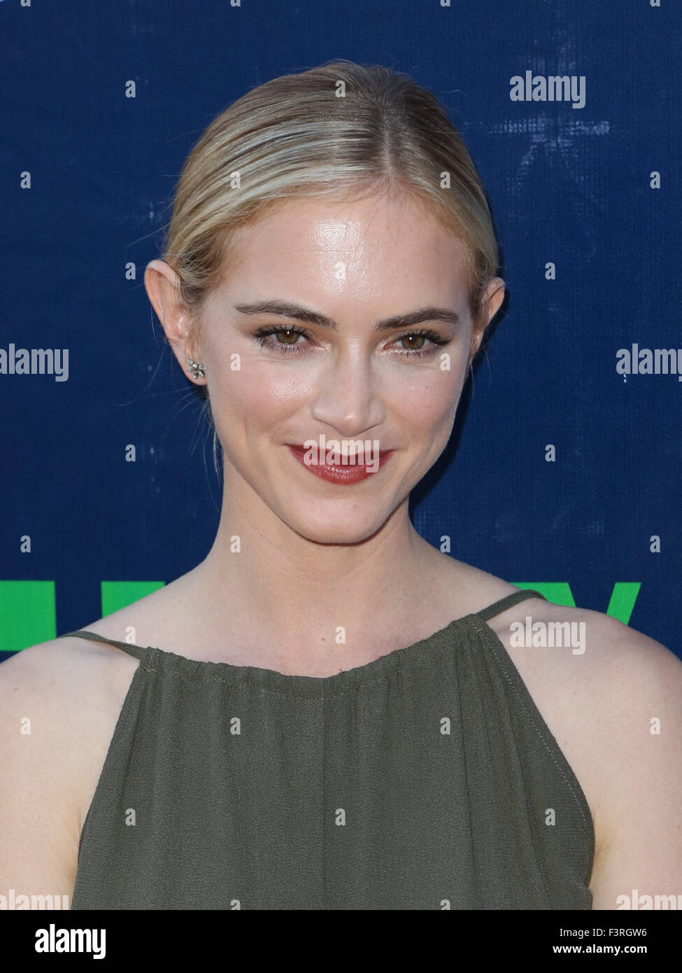 Celebrities attend the CBS, The CW, and Showtime 2015 Summer TCA Party ...