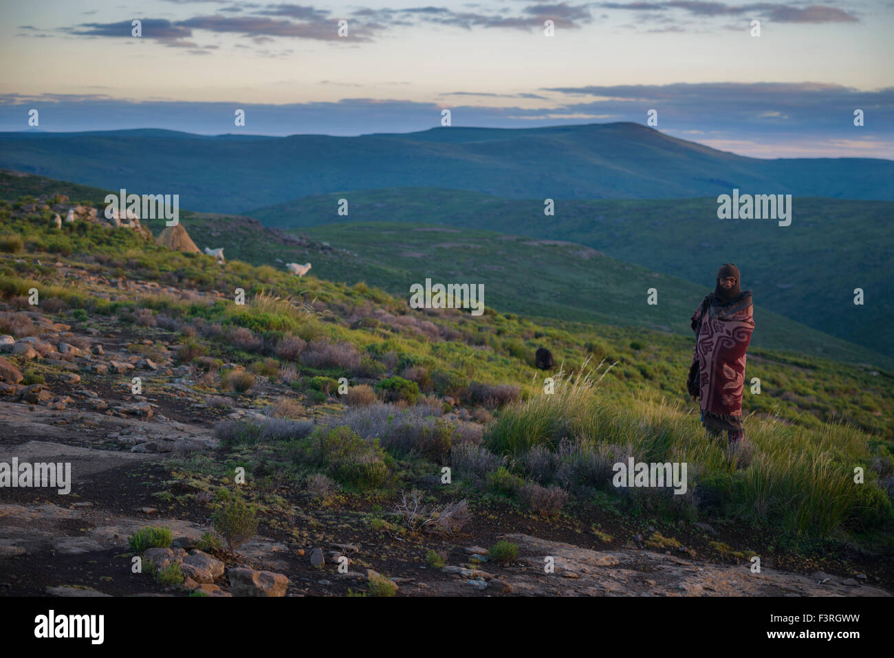 Basotho shepherd, Lesotho, Africa Stock Photo - Alamy