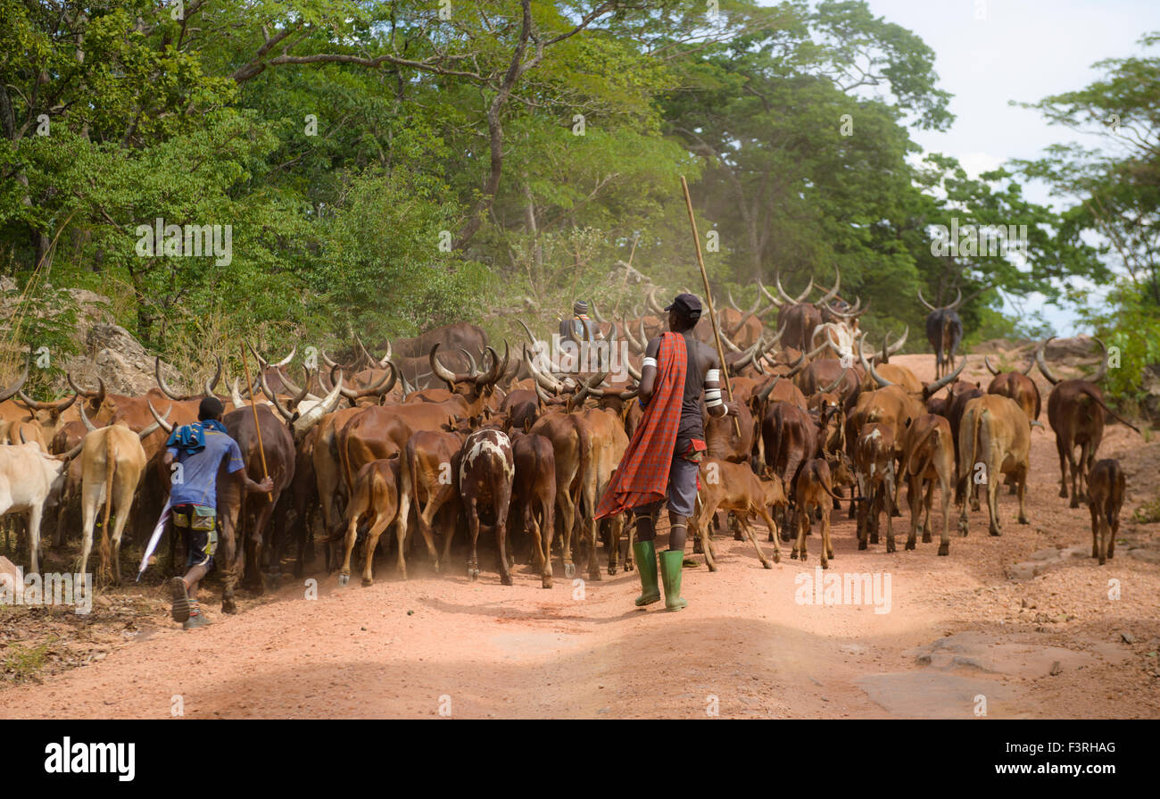 Sukuma tribe hi-res stock photography and images - Alamy