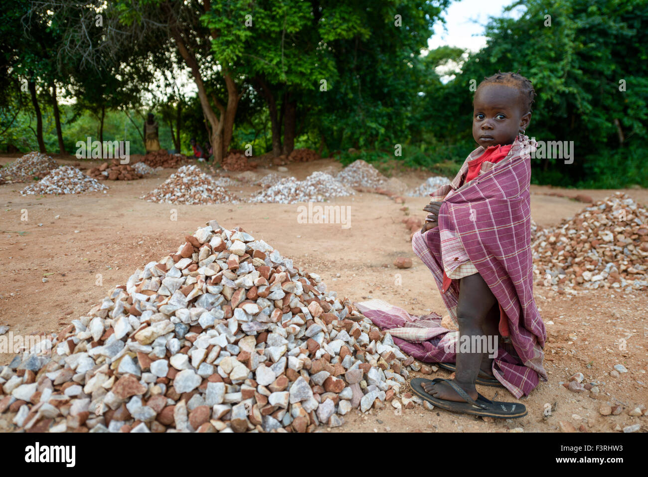 Collecting rocks hi-res stock photography and images - Alamy
