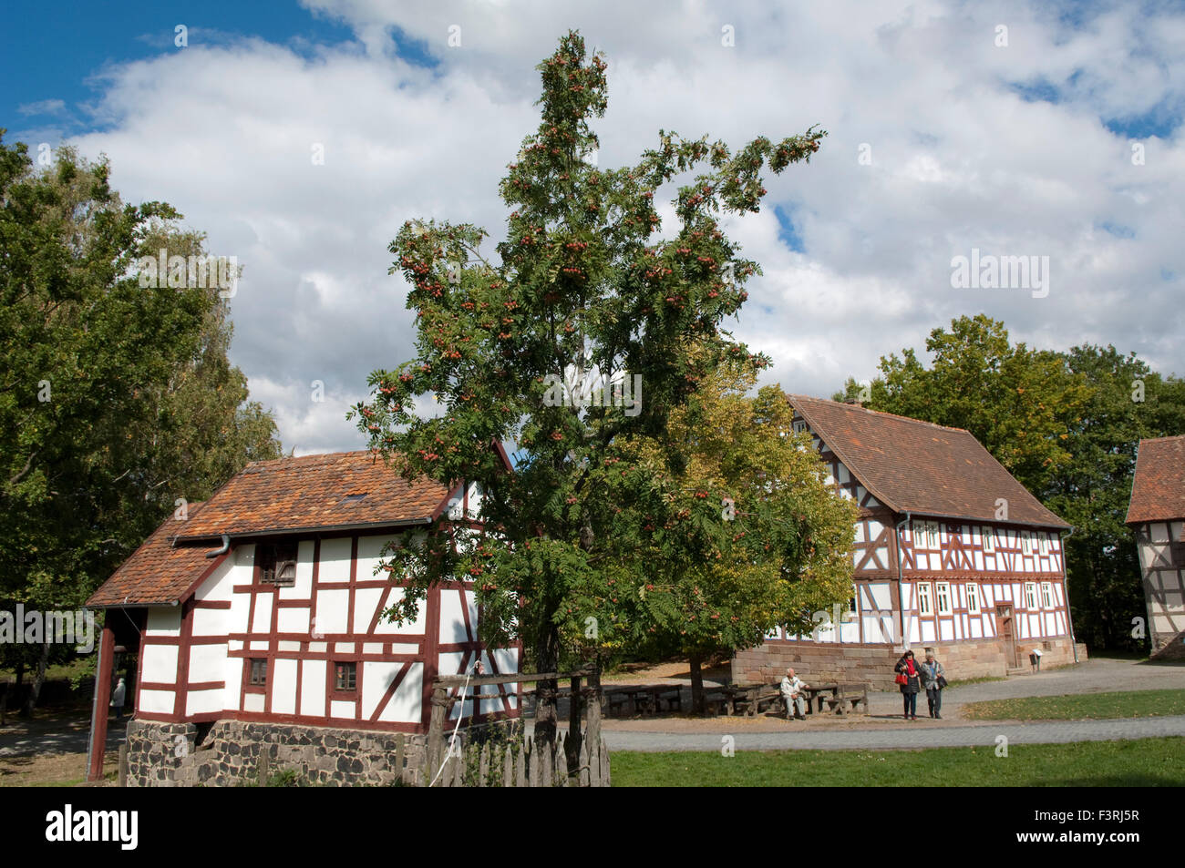 Speierling High Resolution Stock Photography and Images - Alamy