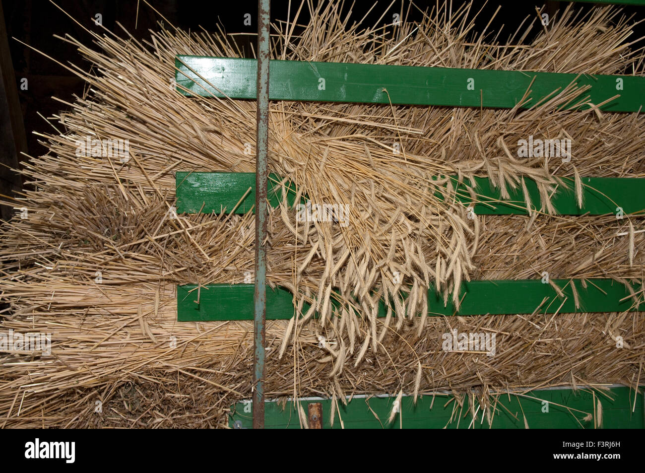 Getreidegarben hi-res stock photography and images - Alamy