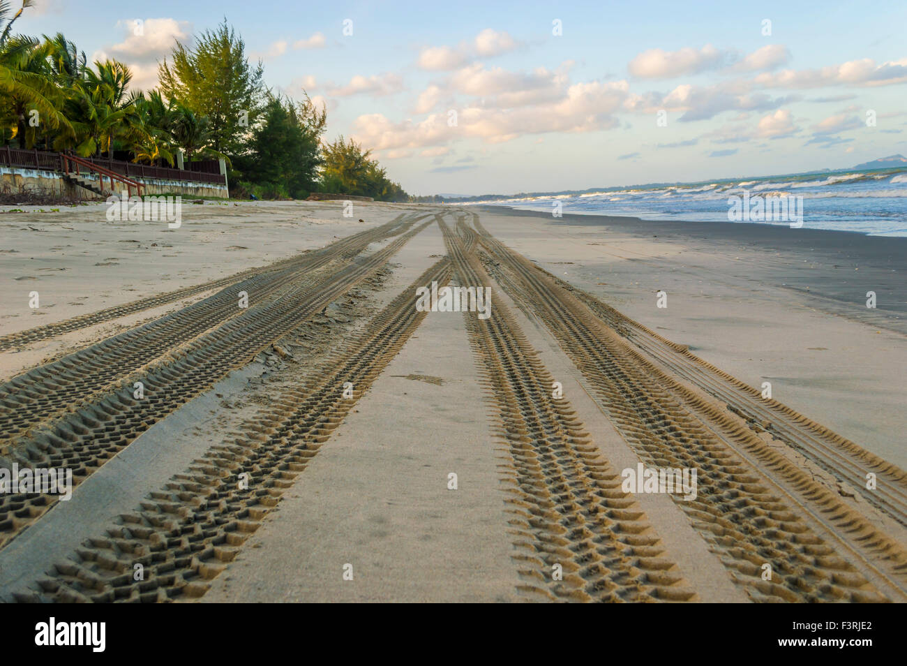 Shot of car tracks in the sand at the beach Stock Photo - Alamy