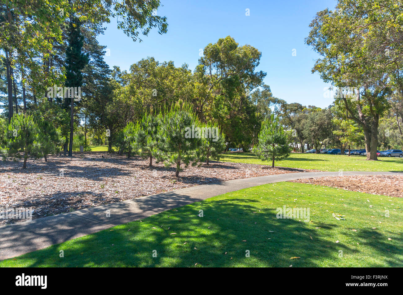 walkway at green garden Stock Photo - Alamy