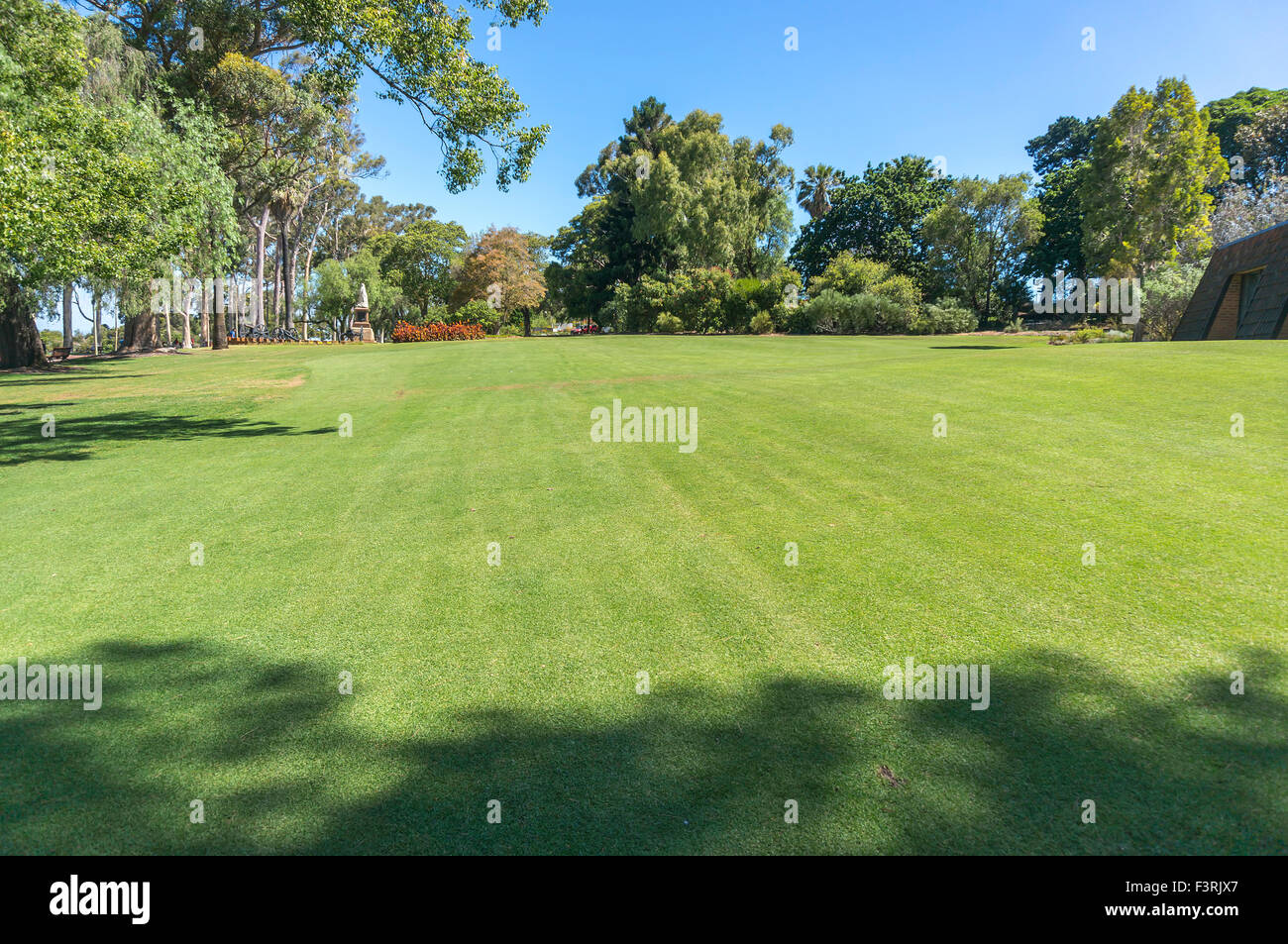 Green grass field Stock Photo - Alamy