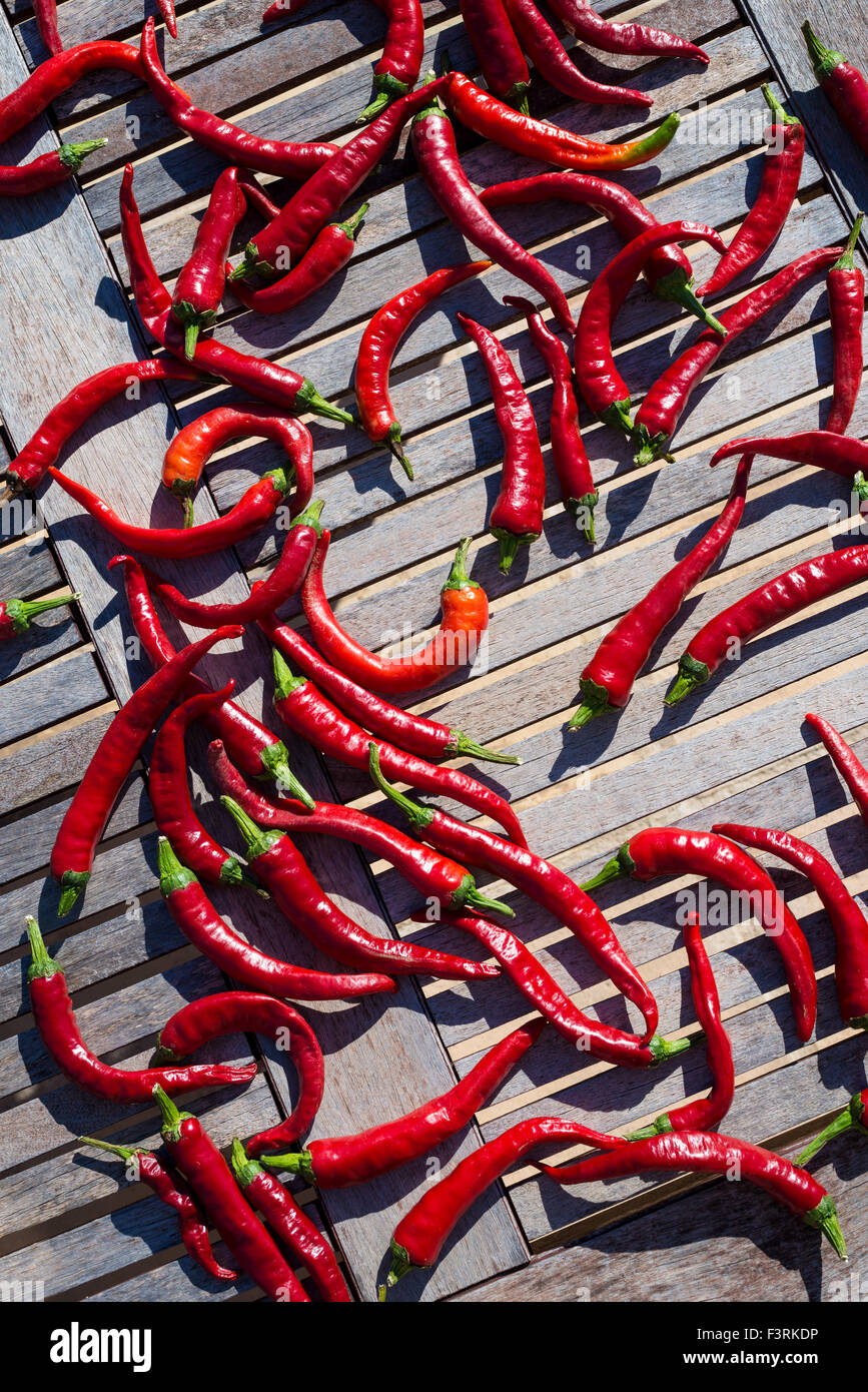 Sun drying pepper hi-res stock photography and images - Alamy