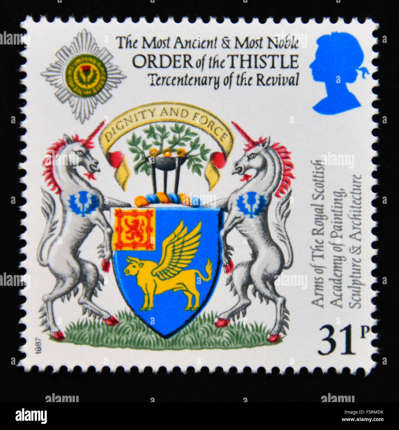 Order thistle hi-res stock photography and images - Alamy