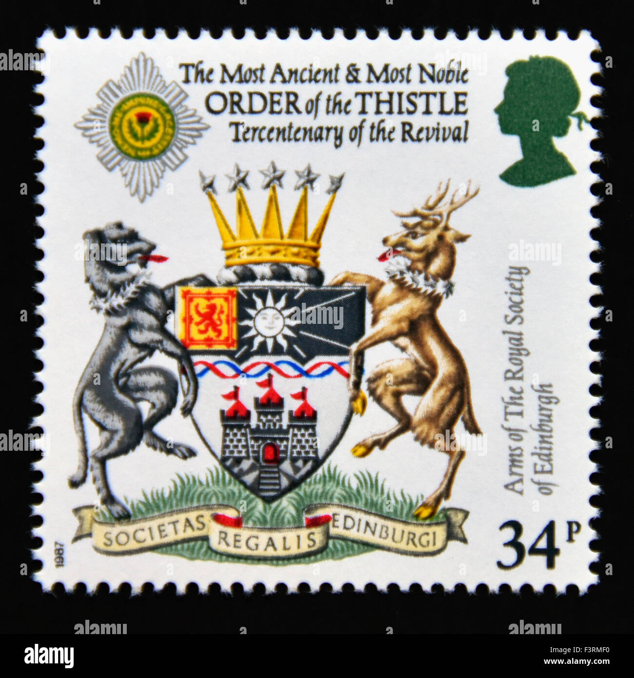 Order of the thistle hi-res stock photography and images - Alamy