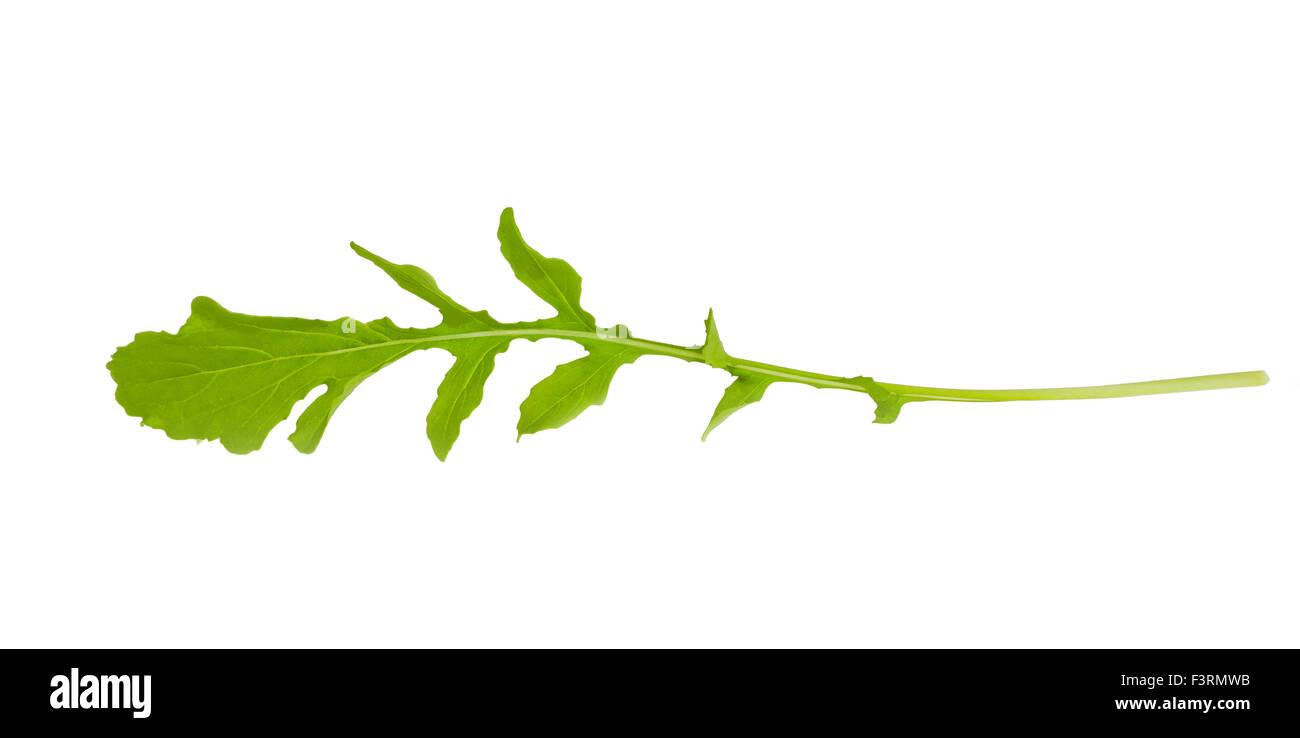 Rocket leaves hi-res stock photography and images - Alamy