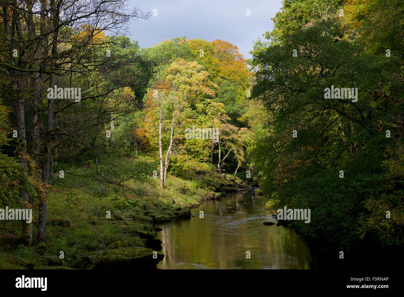 Wharfe wood landscape hi-res stock photography and images - Alamy