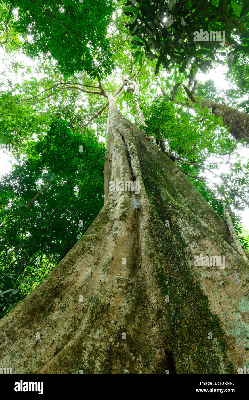 Big environment hi-res stock photography and images - Alamy