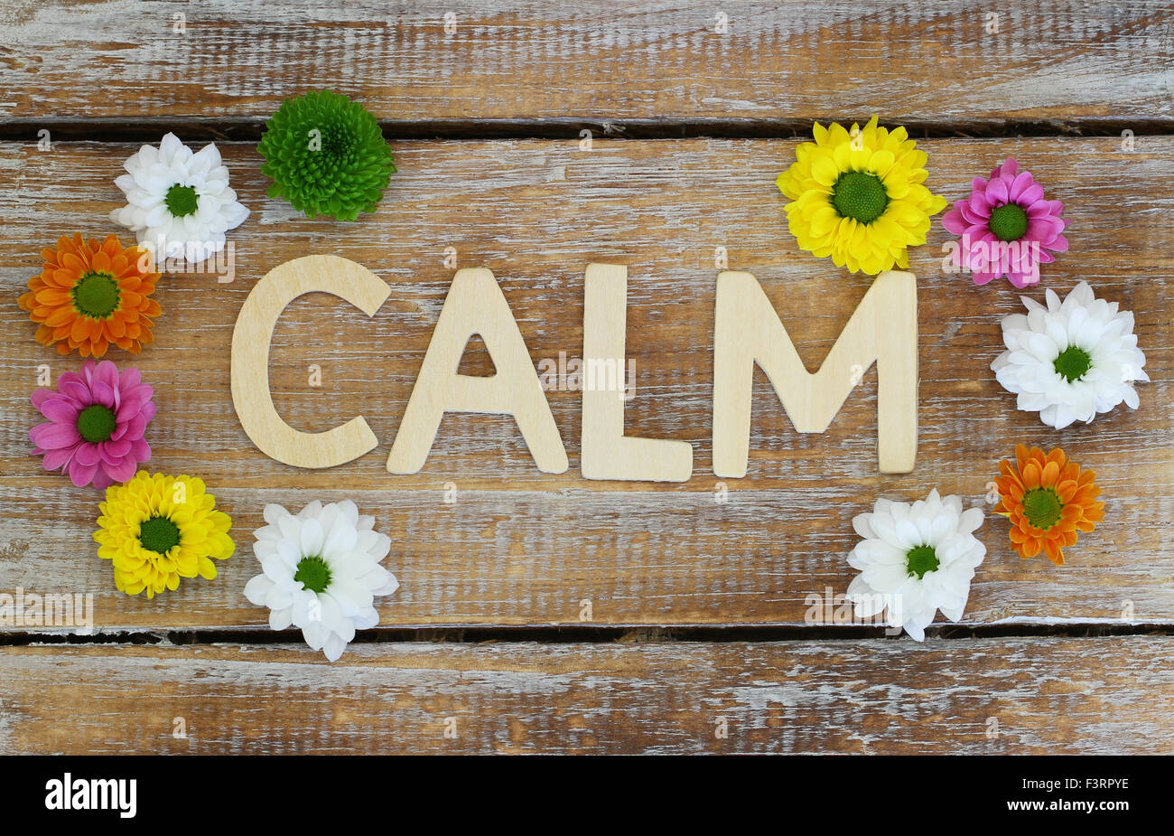 Word calm written on rustic wooden surface and Santini flowers Stock ...