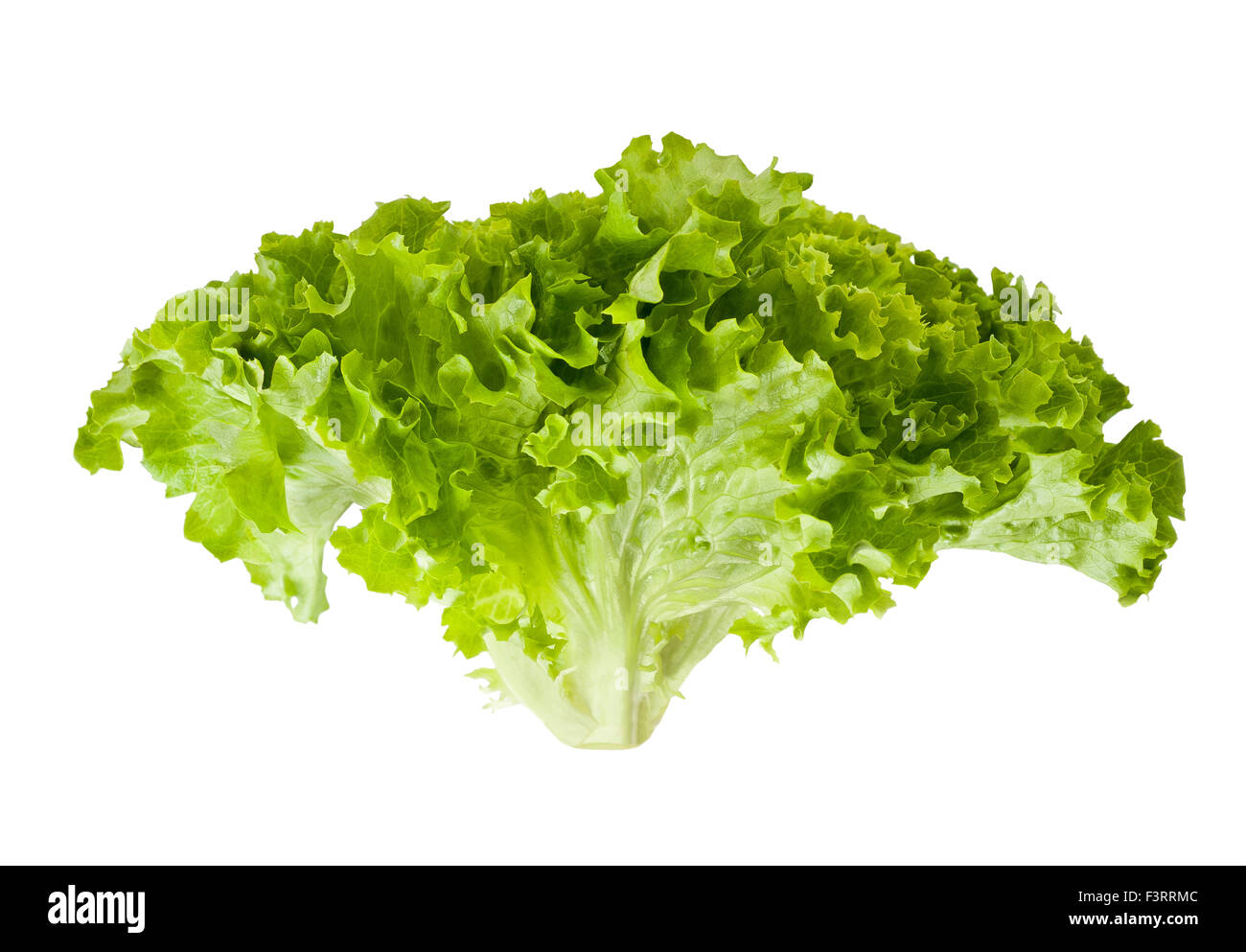 Frisee lettuce hi-res stock photography and images - Alamy