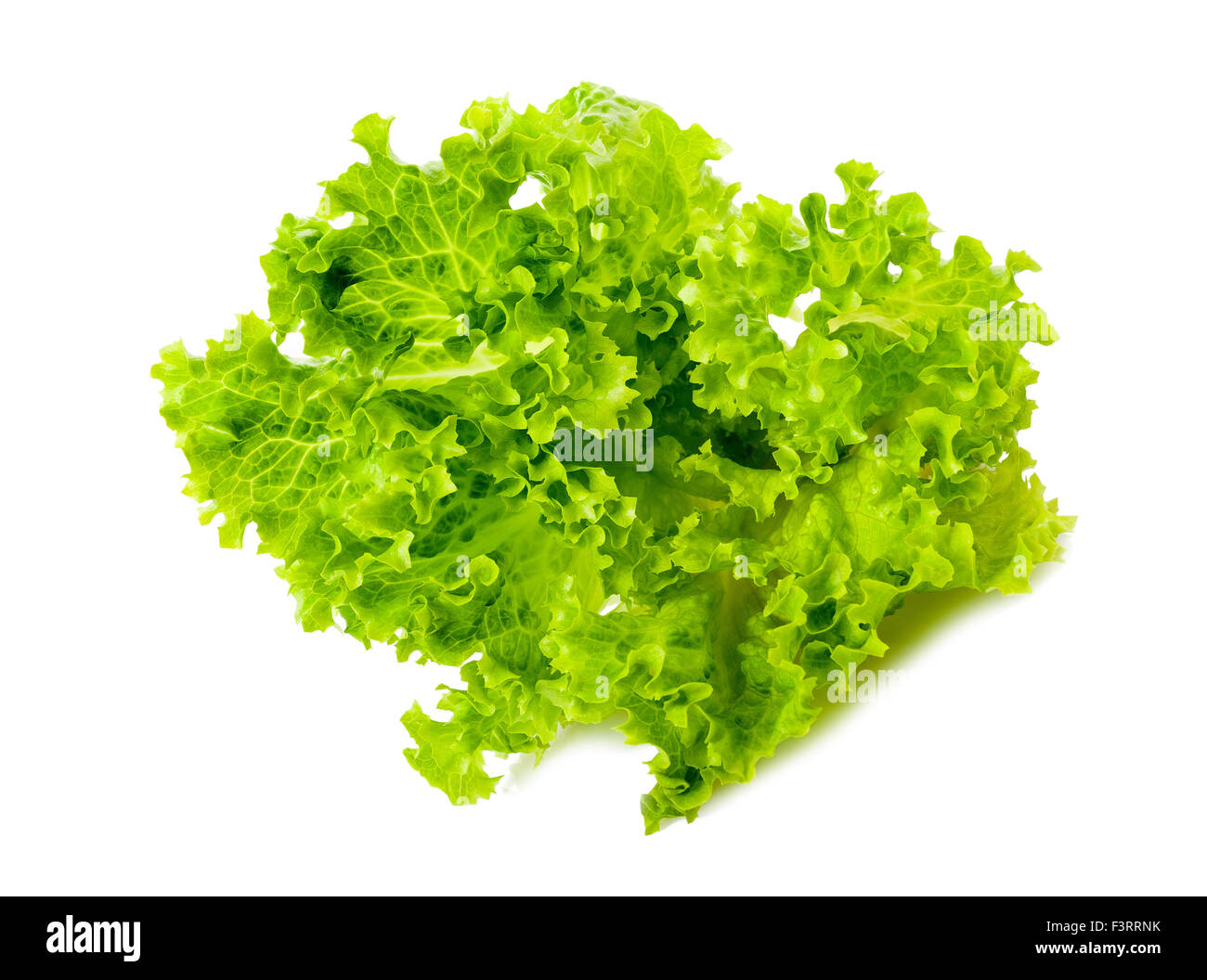 Frisee lettuce hi-res stock photography and images - Alamy
