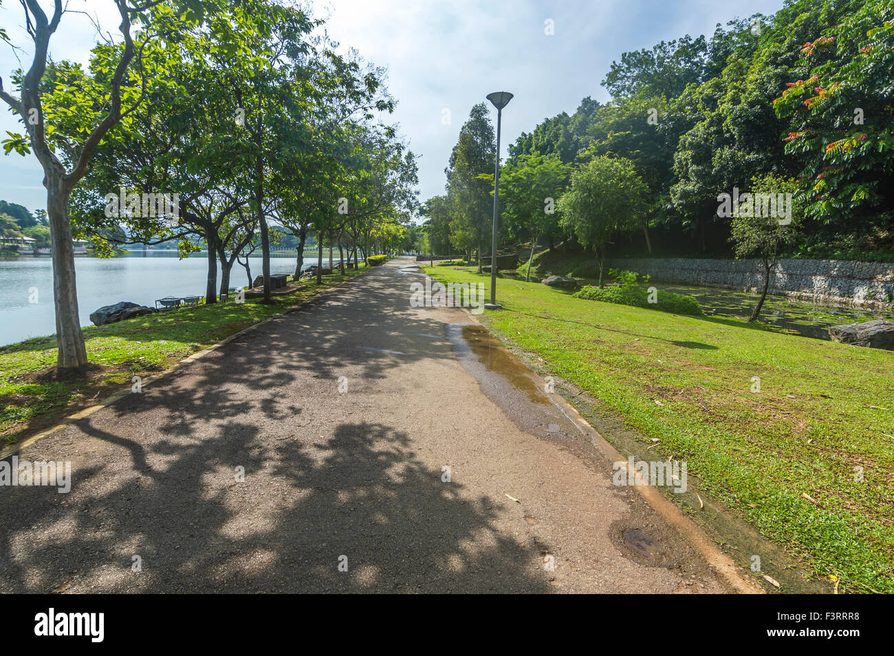 Garden street with direct sunlight Stock Photo - Alamy