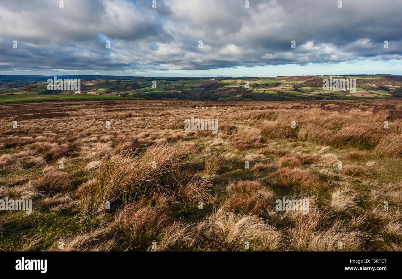Windswept Moors High Resolution Stock Photography and Images - Alamy