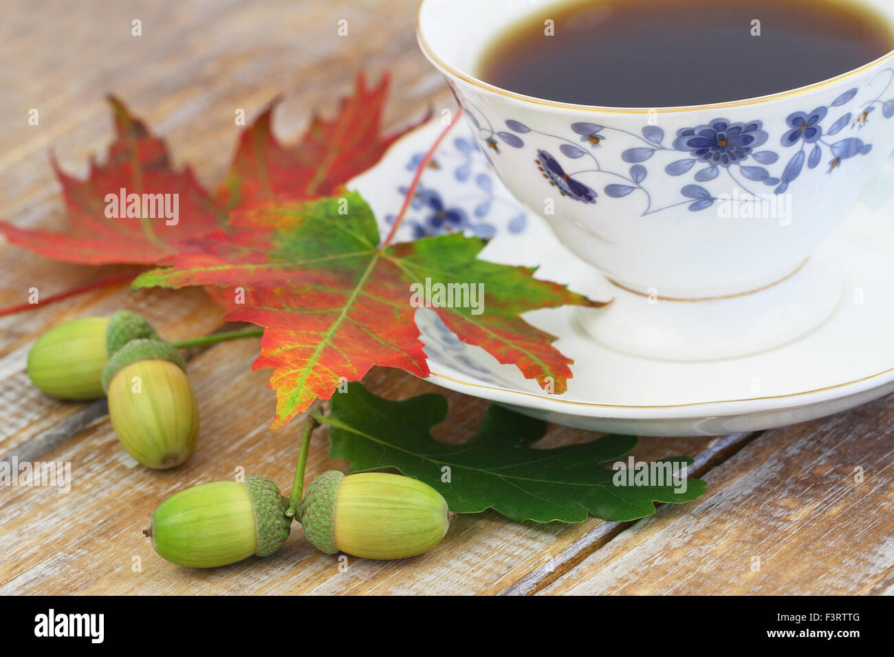 Autumn leaves, acorns and cup of black tea Stock Photo - Alamy