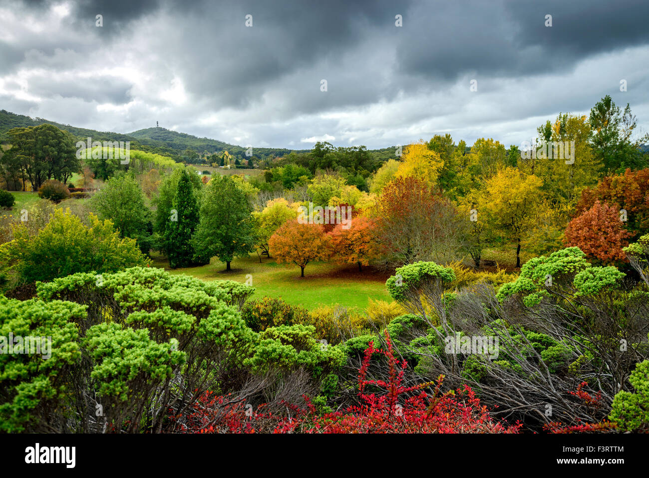 Autumn landscape under the rain in Adelaide Hills Stock Photo - Alamy