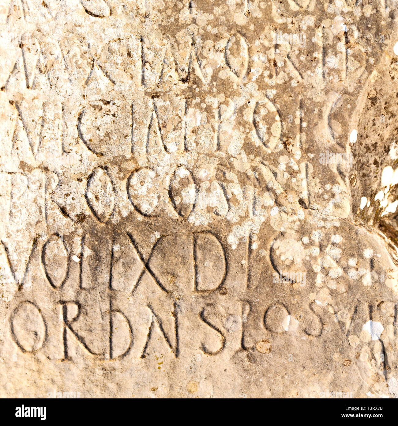 tombstone in africa morocco graveyard marble and concrete Stock Photo ...