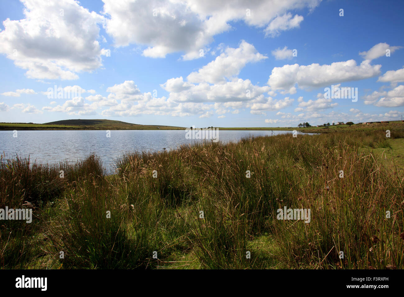 Dozmary pool bodmin moor hi-res stock photography and images - Alamy