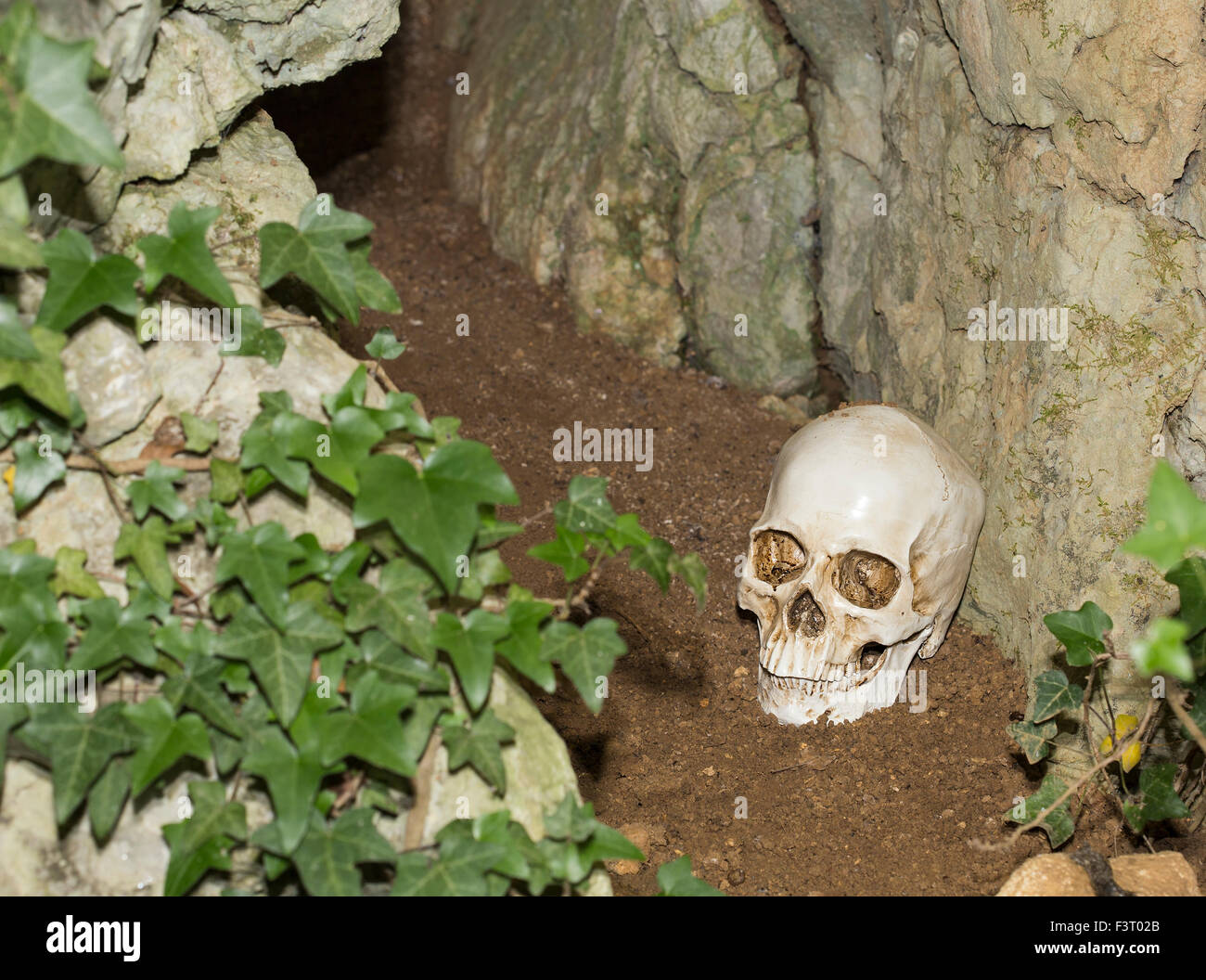 Persons head hi-res stock photography and images - Alamy