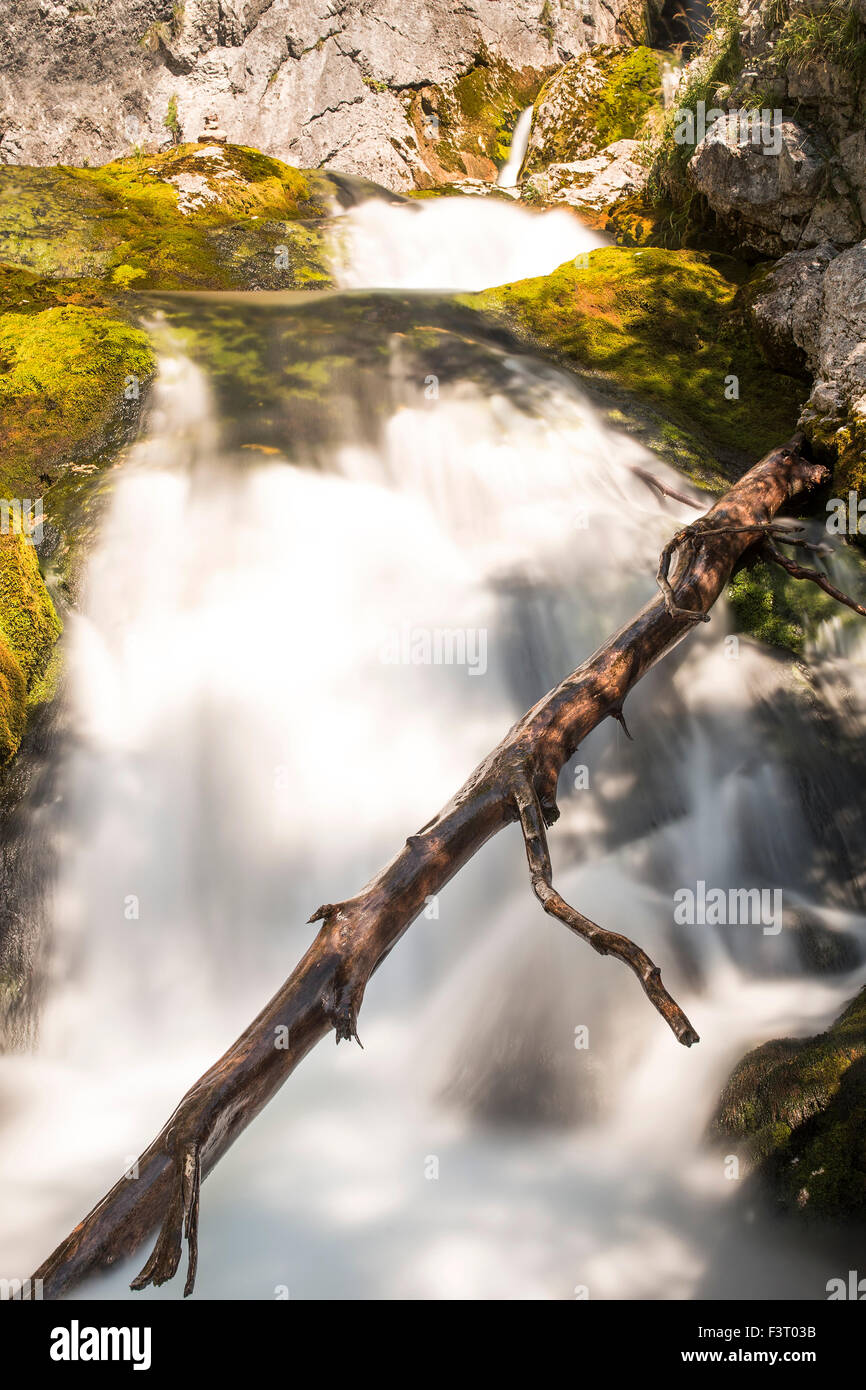 Clean water stream, photographed with long exposure time Stock Photo ...
