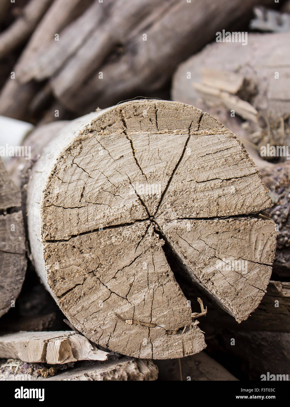 Log circle hi-res stock photography and images - Alamy