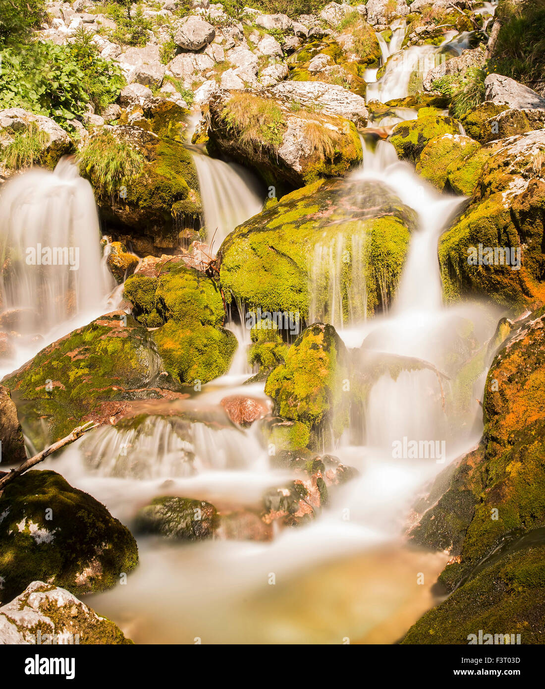 Clean water stream, photographed with long exposure time Stock Photo ...